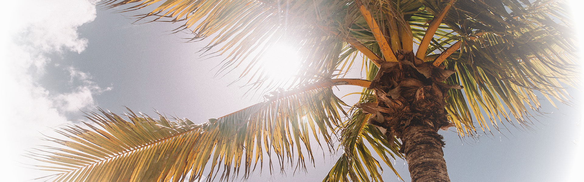 CARDY N°1 de l'accessoire Moto