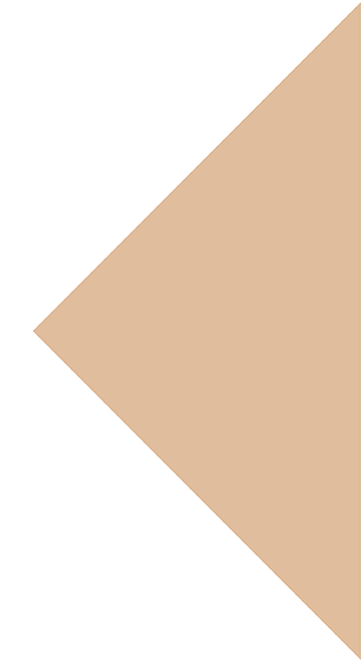 CARDY N°1 de l'accessoire Moto